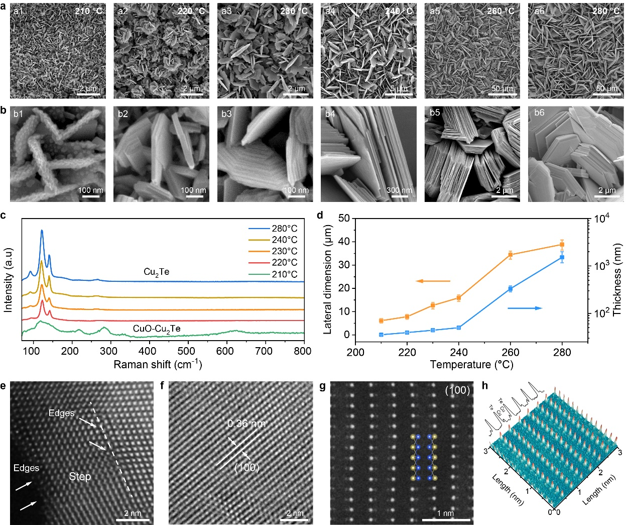 ACS Nano：课题组在Cu2Te大面积可控生长及其电催化CO2还原研究中取得重要进展-低维材料物理研究中心